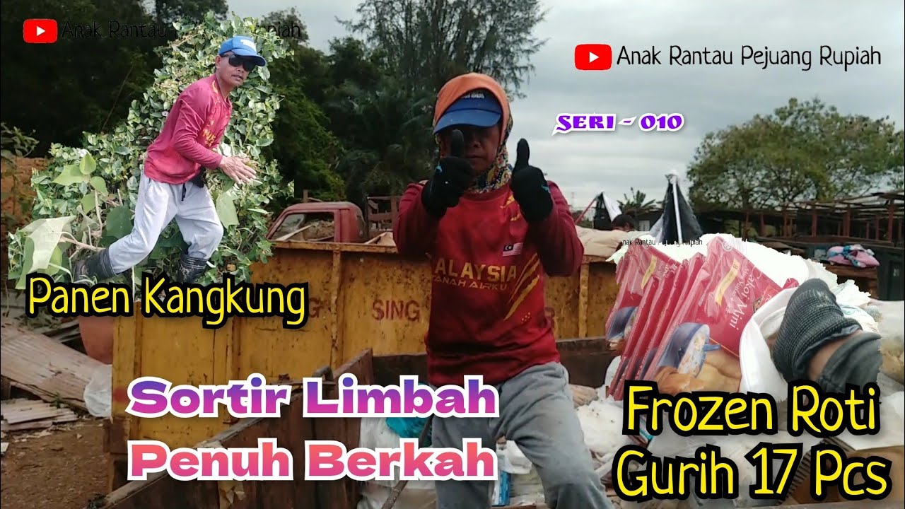 (Anak Rantau) Hari Ini Bekerja, Panen Sayuran & Bercocok Tanam‼️ ...