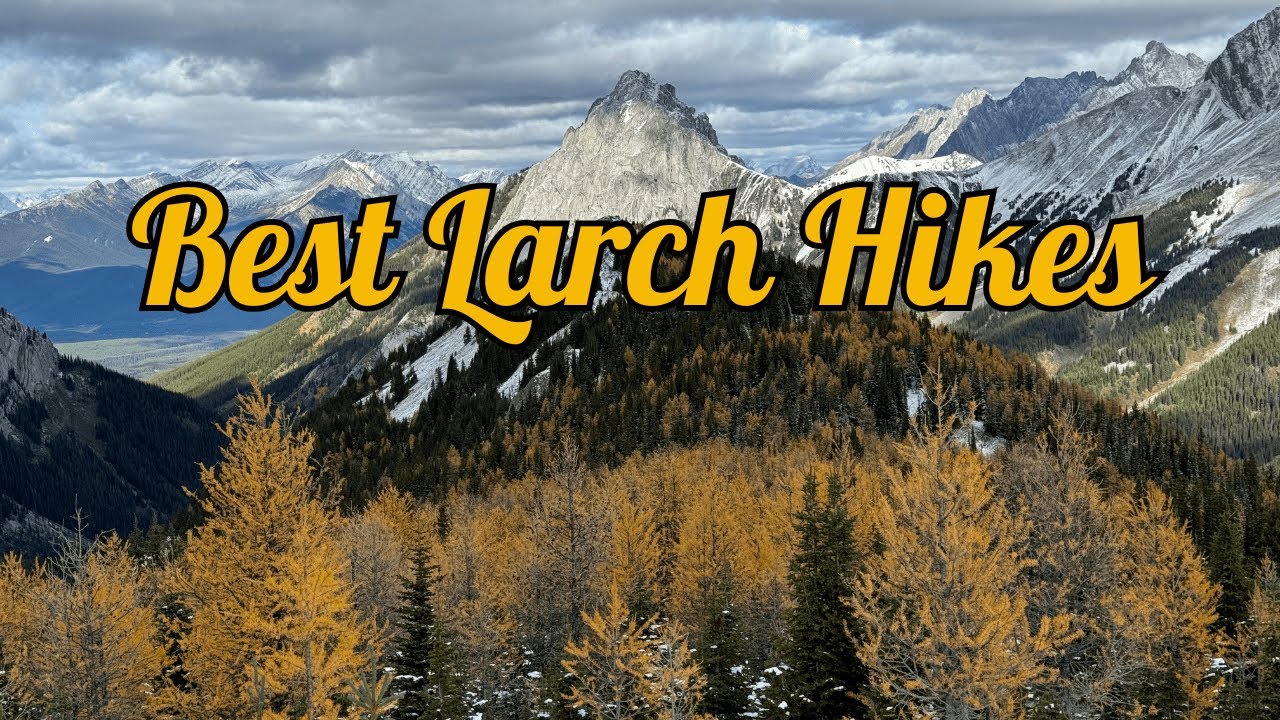 Stunning Larch Hike at Pocaterra Ridge: Fall Colours in Kananaskis ...