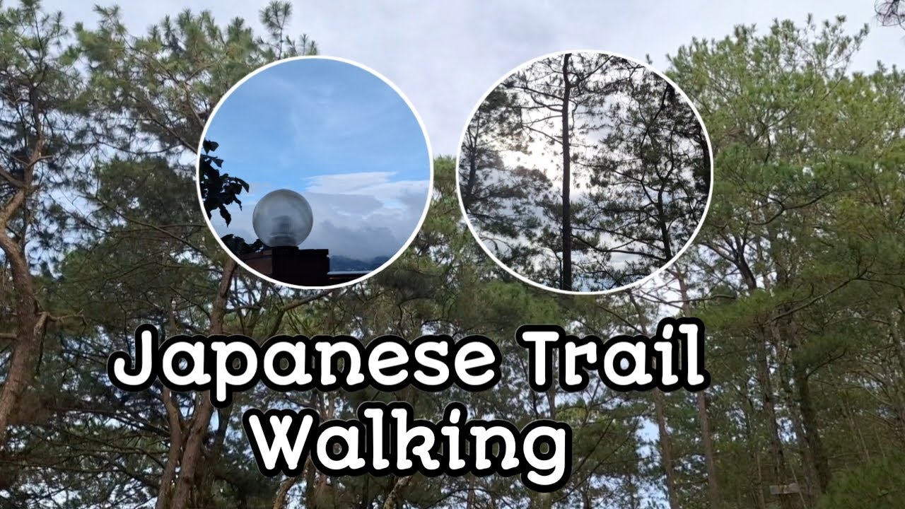 Japanese Trail Walking || 2024 - YouTube