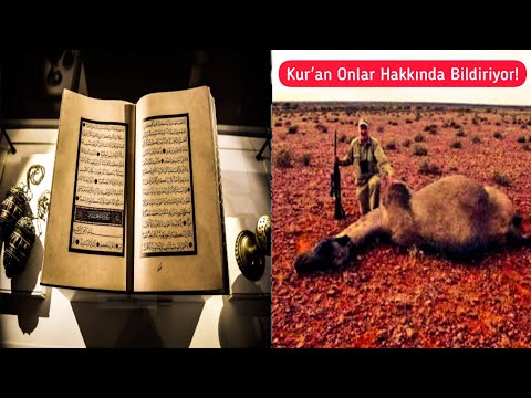 Kuranda deve katliamı anlatıyor, Avusturalyayı bekleyen kıyamet!