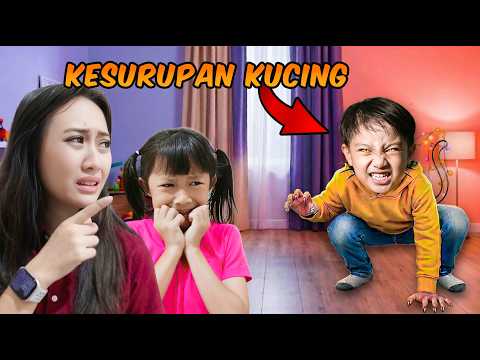 ABEW KESURUPAN KUCING