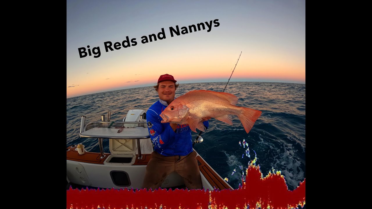 Fishing the Reef | Big reds and Nanny's - YouTube