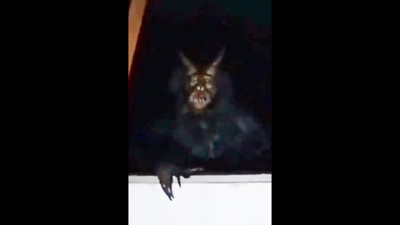 THIS SCARY FOOTAGE CAPTURED SHOWS WHAT A DOGMAN COULD DO TO YOU!! - YouTube