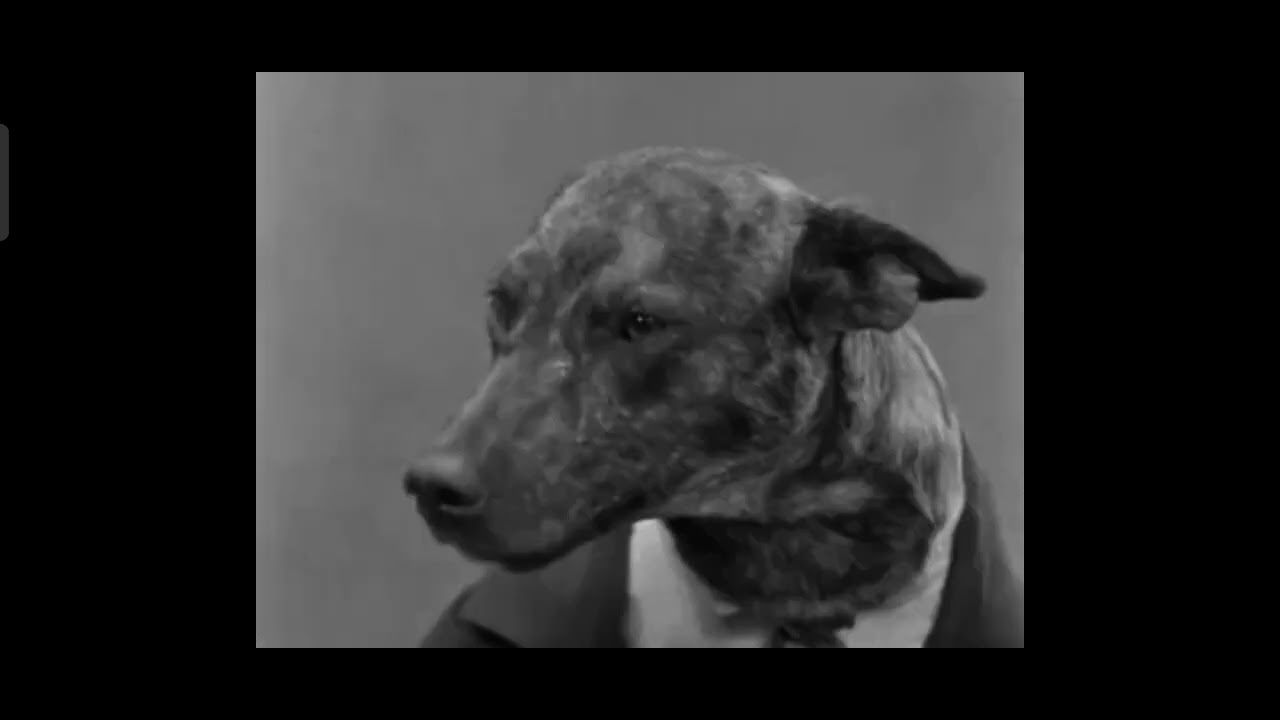 A Dogville Comedy - An All Barkie Hot Dog (1929) (Complete Pre Code ...