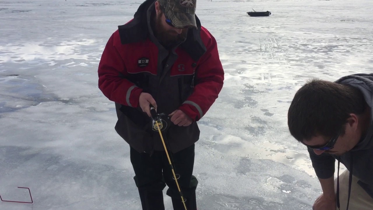 2017 New Hampshire 7 1/2 lb lake trout - YouTube