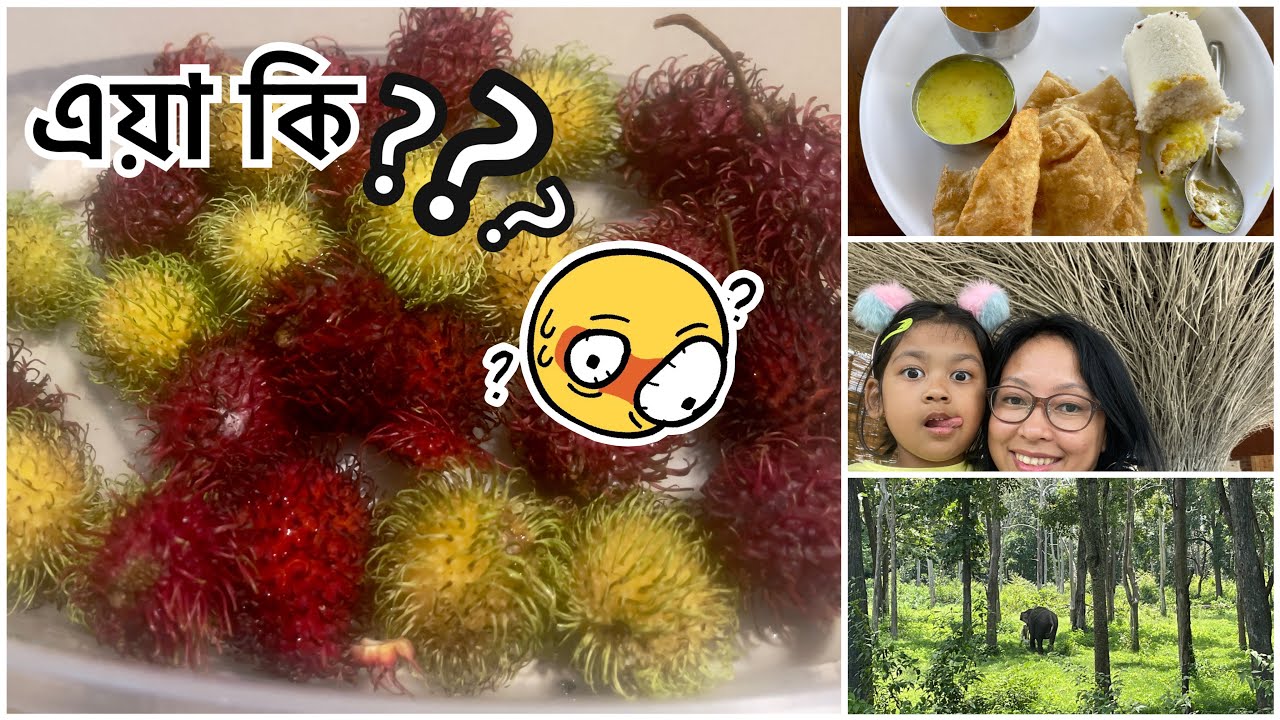 Good Morning যদি পৰুৱাই বিচনাত দিয়ে😳|Road Trip To Wayanad |Ep 4 - YouTube