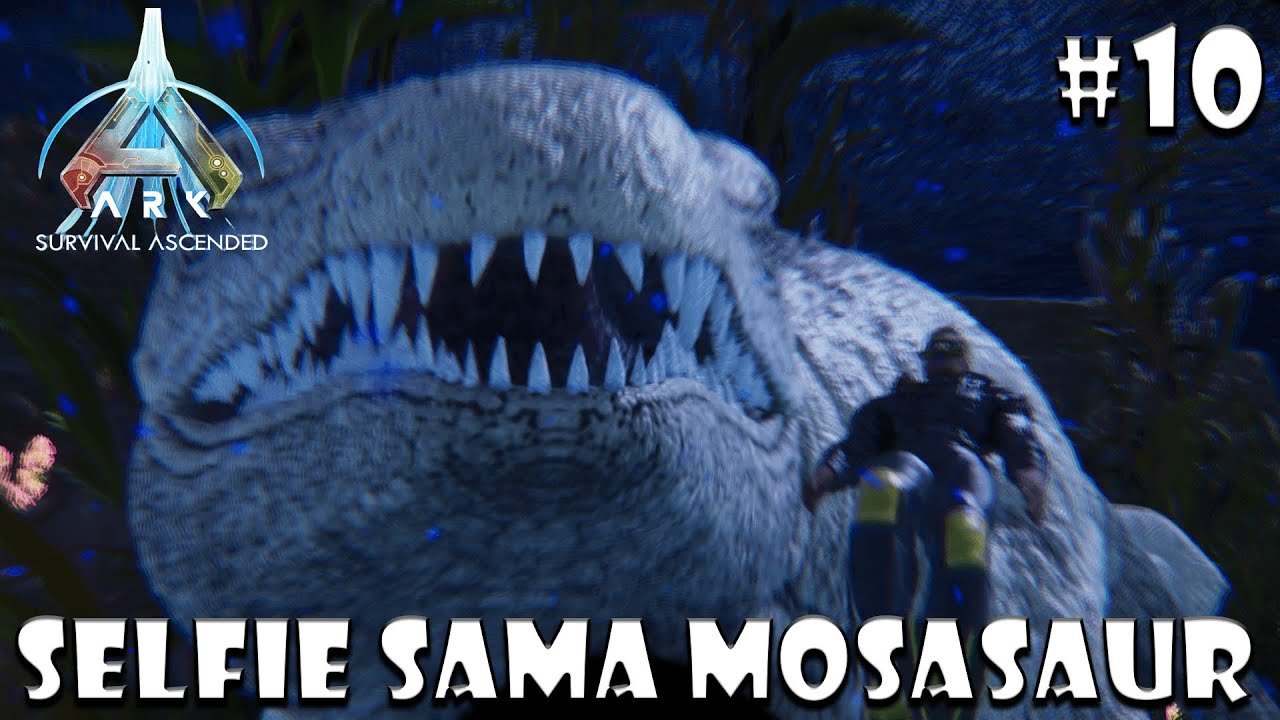 Akhirnya Bisa Selfie Sama Mosasaurus Di ASA, Video Pertama Di 2024 ...