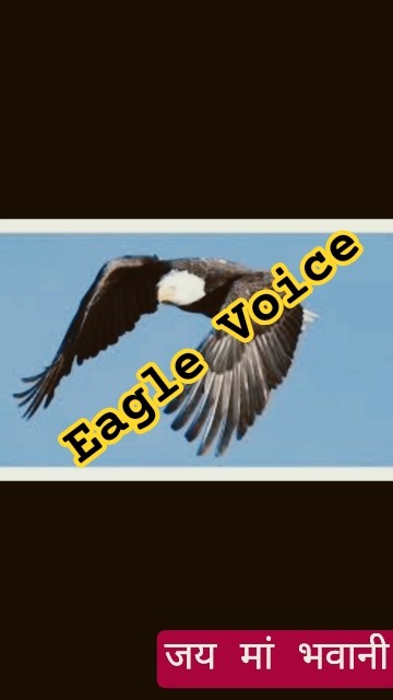 Eagle Voice - YouTube