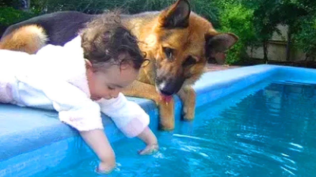 TRY NOT TO LAUGH - Babies Playing Water In The Pool - Funny Baby Video ...
