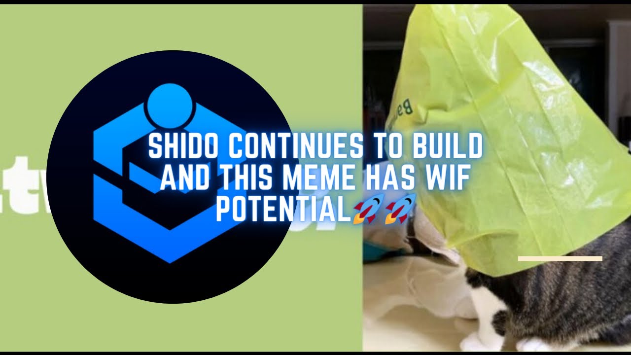 Shido continues to build and MAY be a sign of good things to come. Is ...