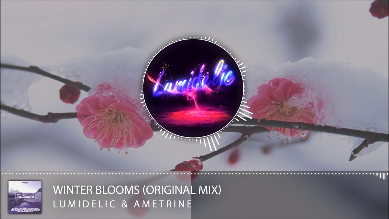 Lumidelic & Ametrine - Winter Blooms (Original Mix) [Synth Collective ...