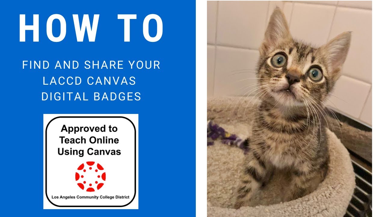 How to Find and Share Your LACCD Canvas Digital Badges - YouTube