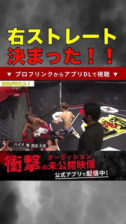 【ブレイキングダウン】西谷大成がko決めて吠えた瞬間! こめお Breakingdown Shorts 朝倉未来 ブレイキンダウン