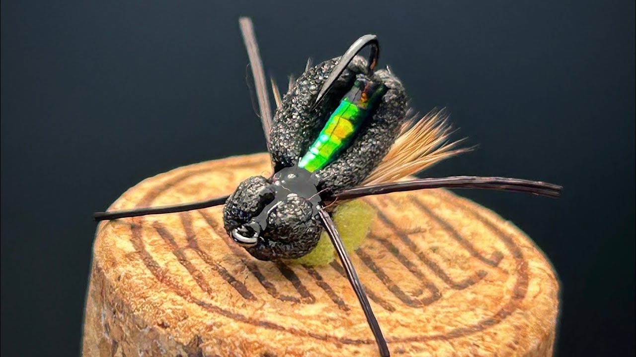Black beetle fly pattern (Bullet head style & Holographic body) - YouTube