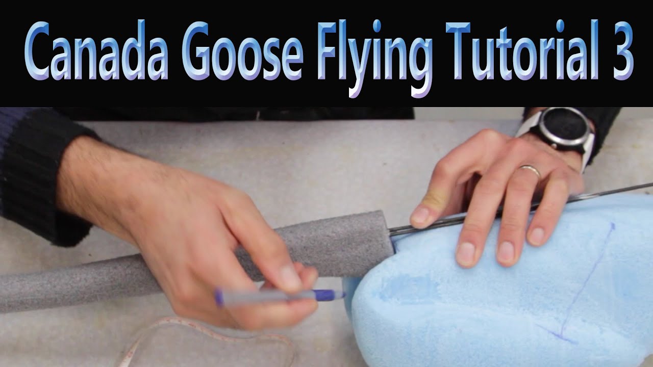 Canada Goose Taxidermy... Tutorial Part 3... Art of Taxidermy. - YouTube