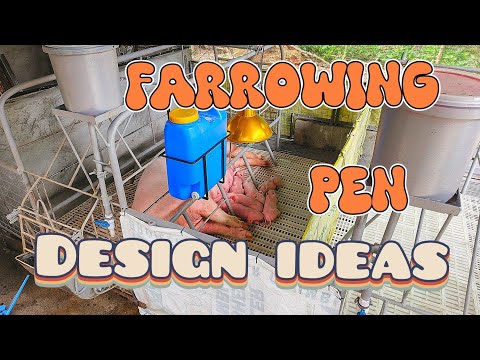FARROWING PEN DESIGN IDEAS