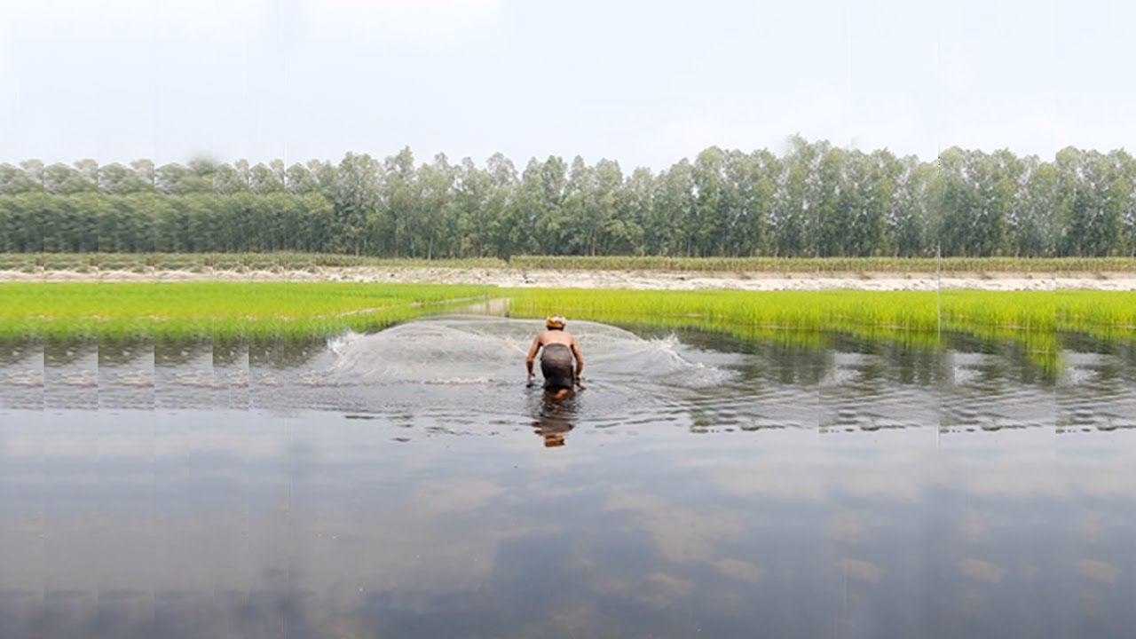 Amazing Fishing Video - Traditional Net Fishing Video - Village Fishing ...