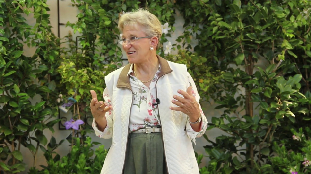 The Beginnings of Alden Lane - YouTube