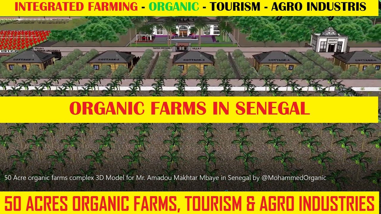 50 ACRES ORGANIC FARM AGROTOURISM AND AGRO INDUSTRIS COMPLEX IN SENEGAL ...