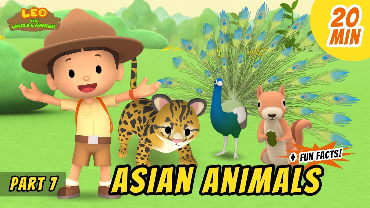 Asian Animals (Part 7/7) - Animals Stories for Kids | Educational | Leo ...