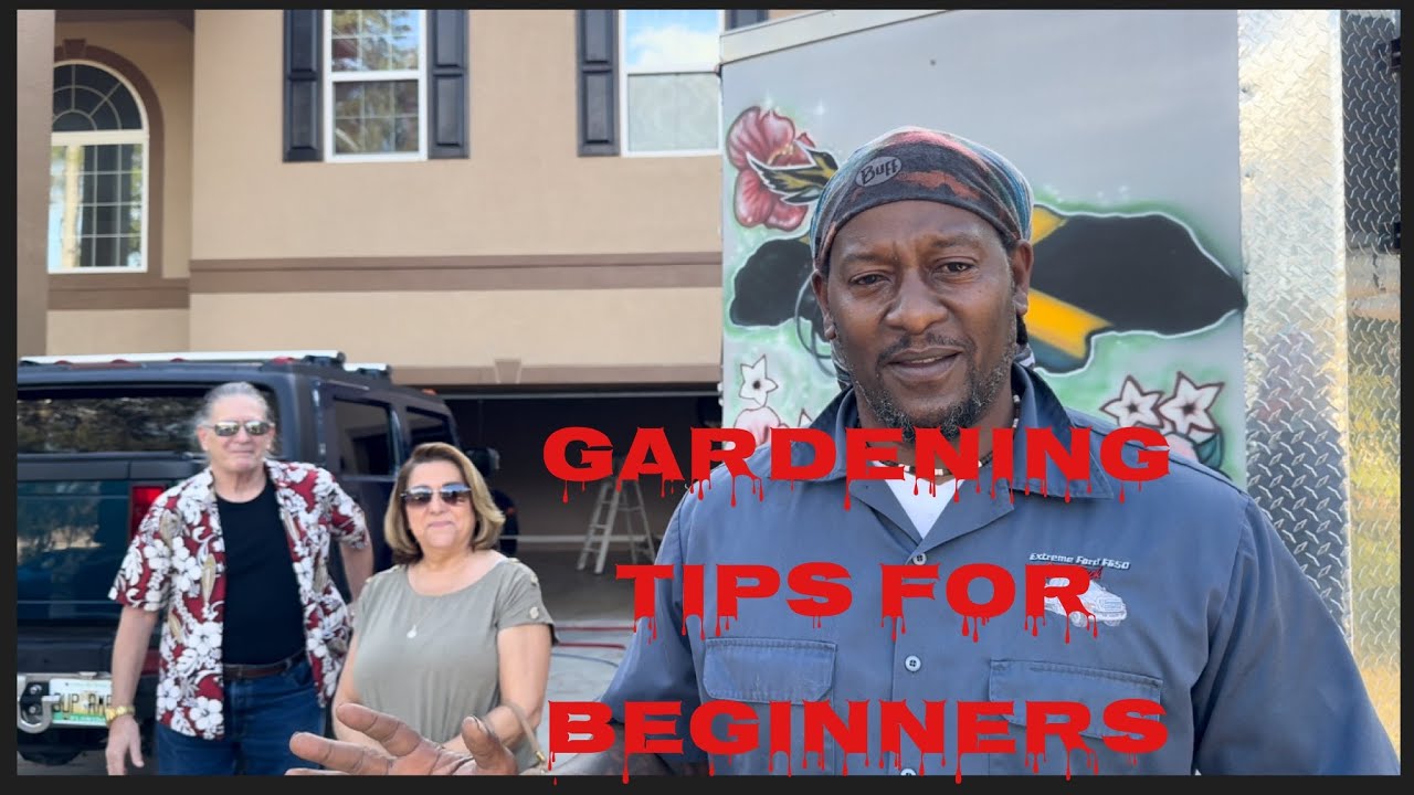 Making gardening great again for beginners - YouTube