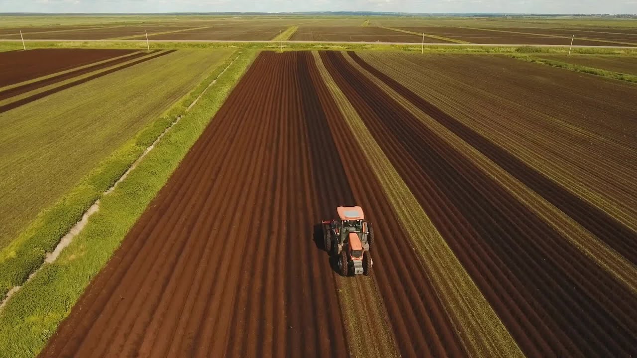 Relaxation Music | Farm Ambience | Relaxing Nature | Farm Life | Study ...