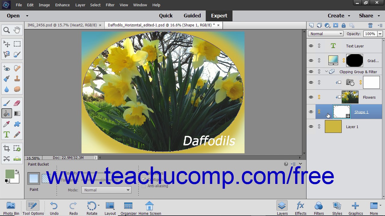 Photoshop Elements 2019 Tutorial Creating Clipping Groups Adobe ...
