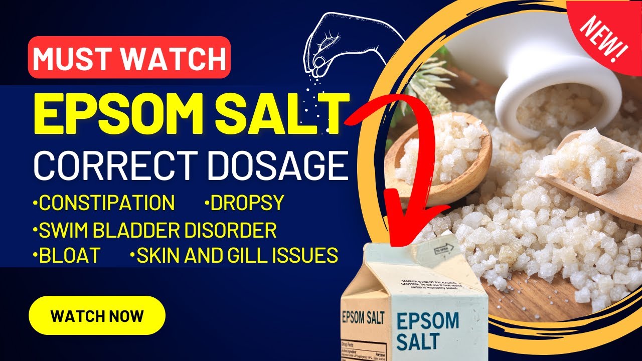 How to use Epsom Salt for Different Fish Treatments? | Fish Stay ...