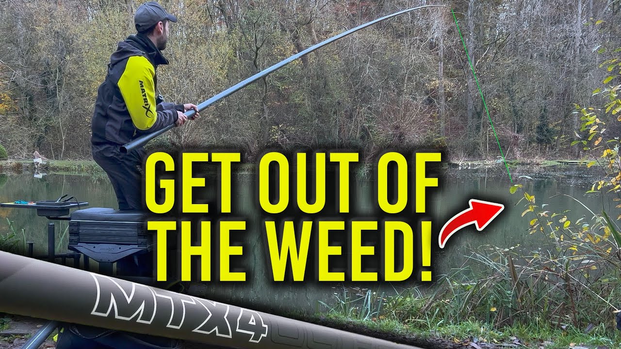 MAGGOT FISHING SESSION WITH MY NEW POLE - YouTube