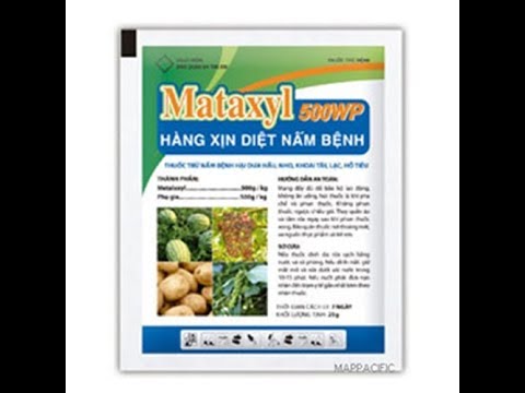 MATAXYL 500WP – THUỐC ĐẶC TRỊ BỆNH VÀNG LÁ, THỐI THÂN, SƯƠNG MAI TRÊN ...