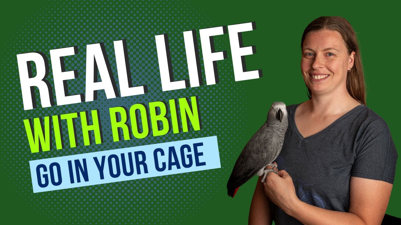 Go In Your Cage! - Real life with Robin - YouTube