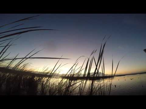 2016-2017 Florida Waterfowl Season