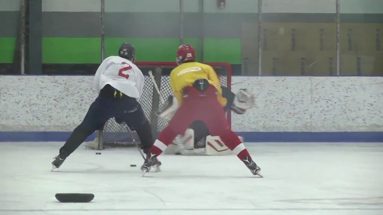 Bridgedale Grad Drew Maynard Lights Up Illinois HS Hockey - YouTube