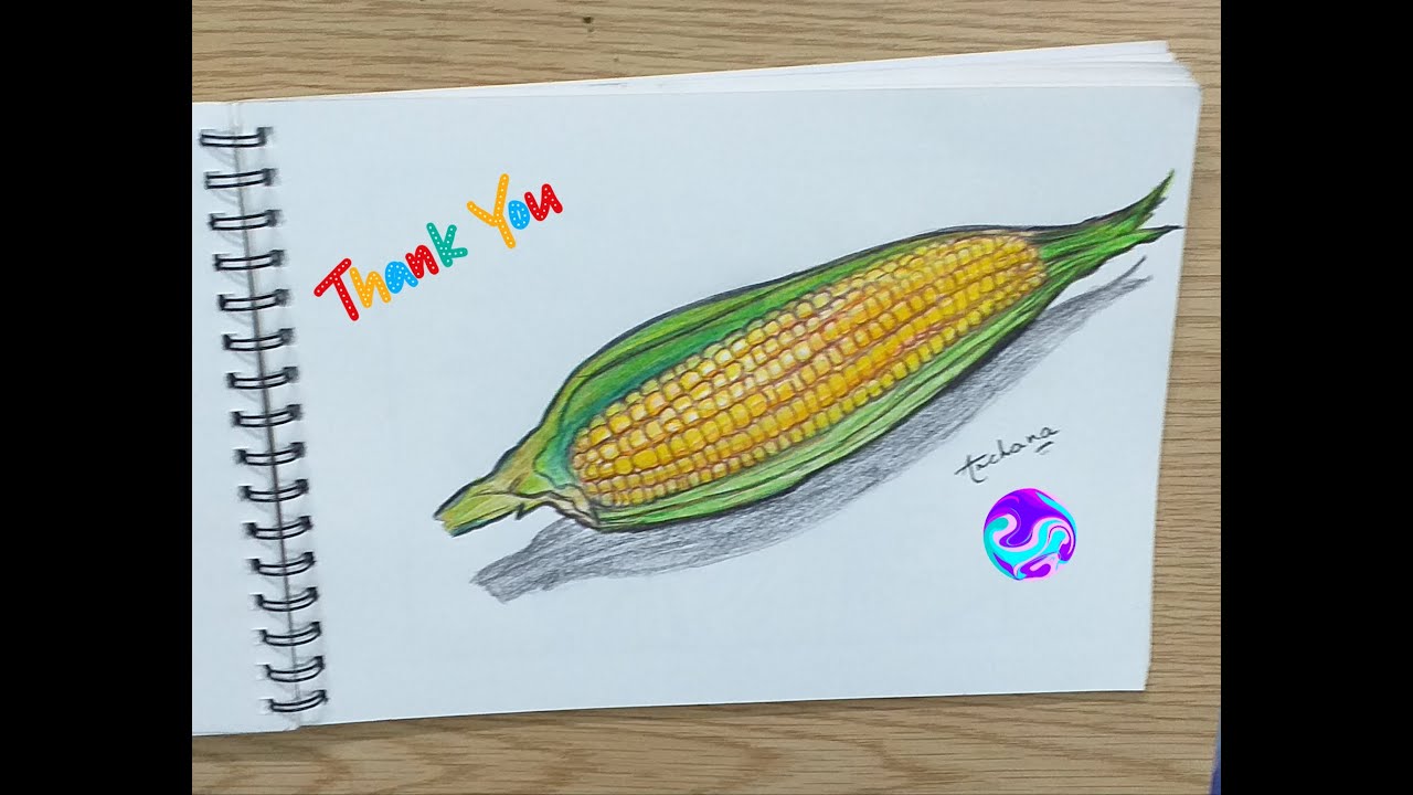 HOW TO DRAW MAIZE COLOUR PENCIL ART/CORN COLOUR PENCIL ART FOR KIDS ...