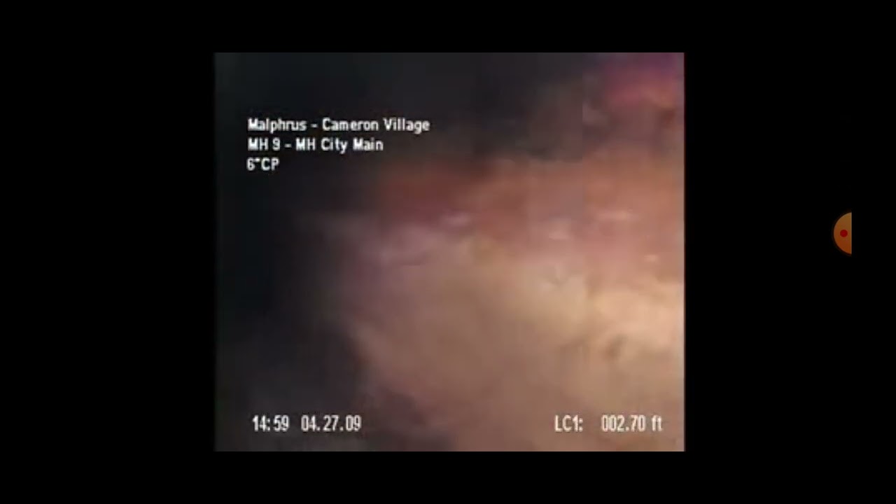 drain pipe creature seen in Cameroon village sewer - YouTube