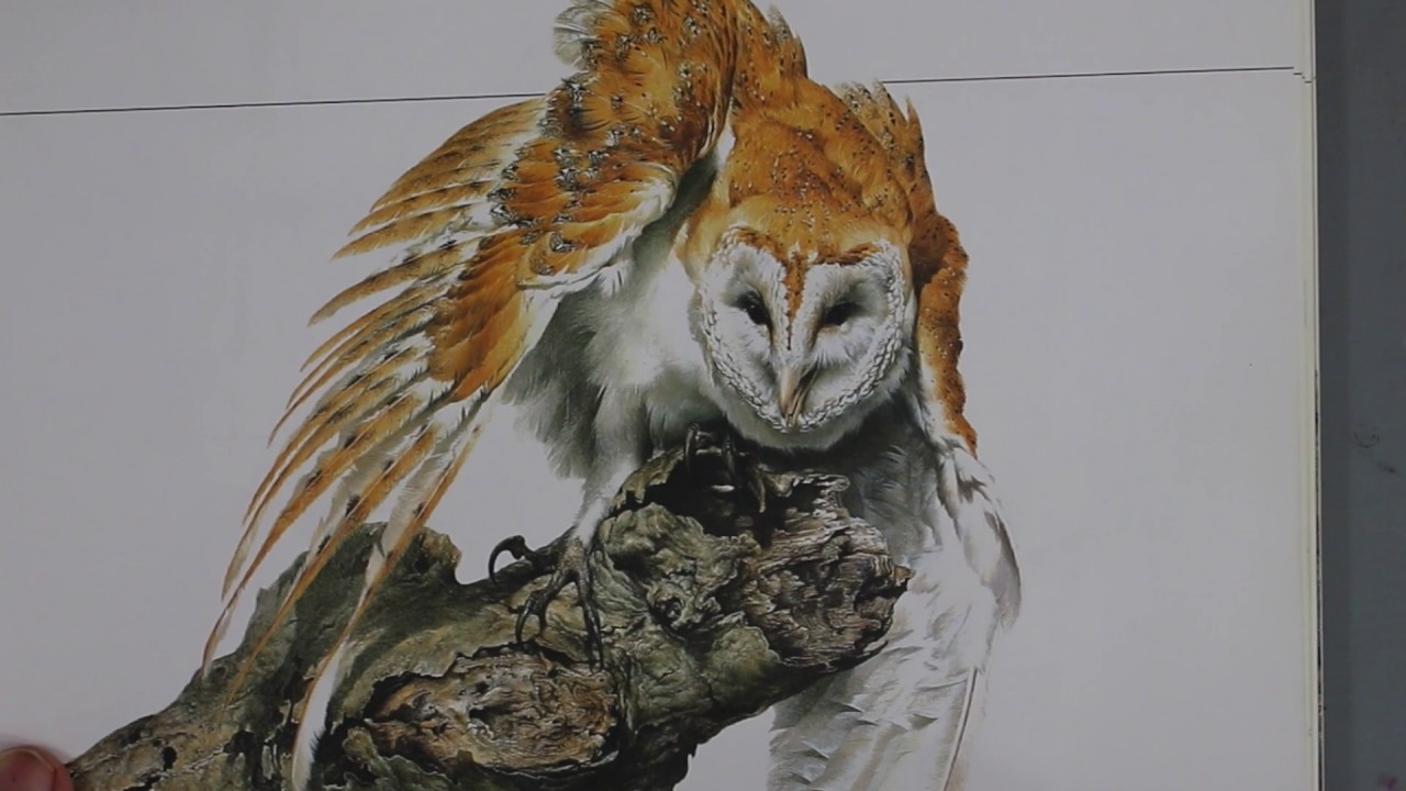 Ray Harris Ching: Artists I Love - YouTube