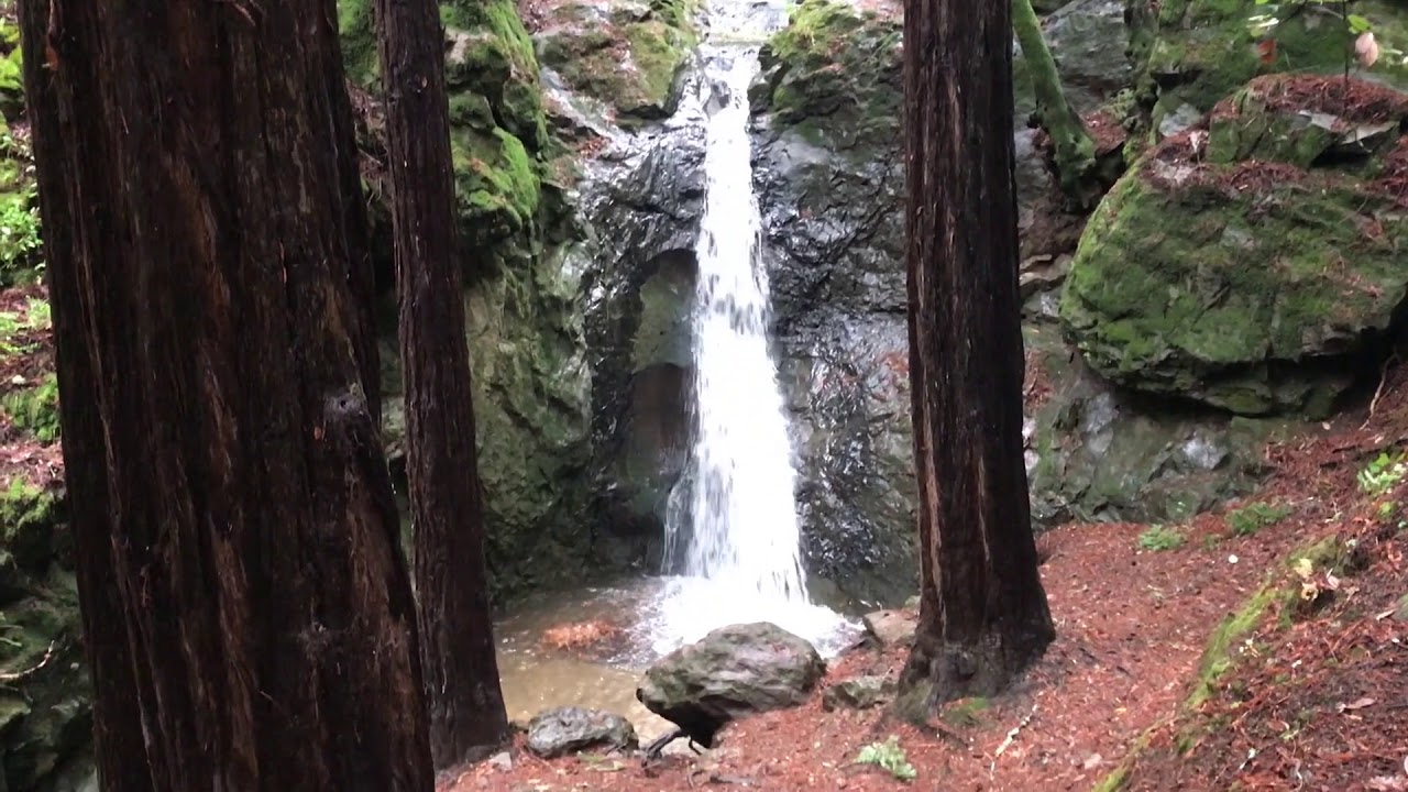Cascade Falls-Mill Valley 11/29/18 - YouTube
