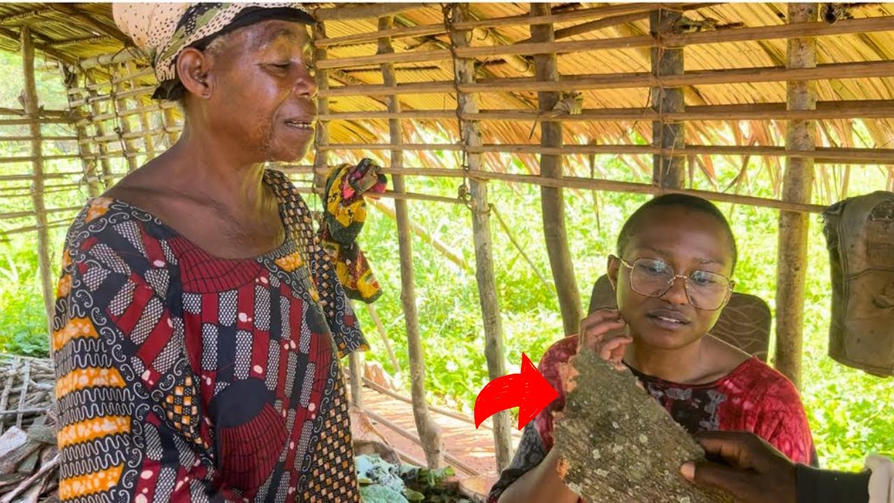 Les pygmées de Tembé au Cameroun vous livrent leurs SECRETS des plantes ...