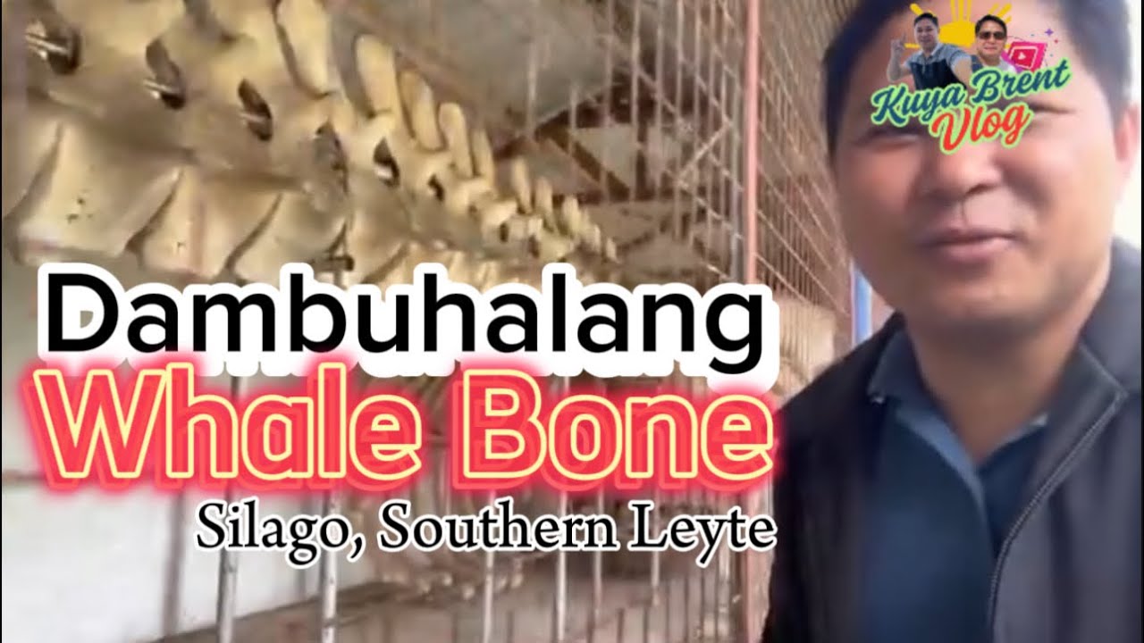 Dambuhalang ‘Whale Bone’ @ Silago, Southern Leyte - YouTube