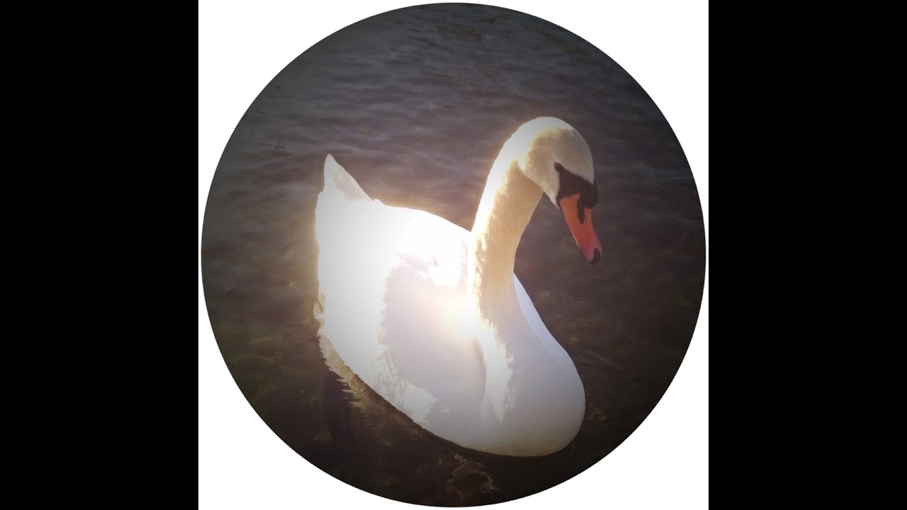 A walk around Askern lake Doncaster Yorkshire by geordieschords - YouTube