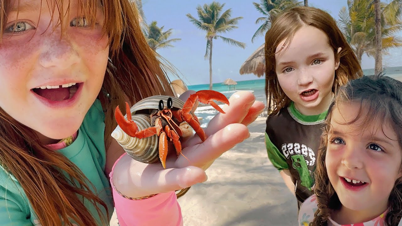 WE FOUND HERMiT CRABS!! Beach Animals, Sand Castles, and Playing in the ...