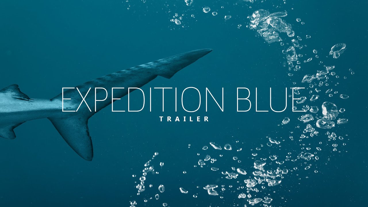 Das Ergebnis von #haibockangriff - Mission Blue Trailer - videoblogs.com