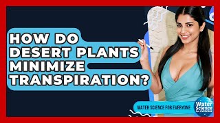 How Do Desert Plants Minimize Transpiration? - Water Science For Everyone