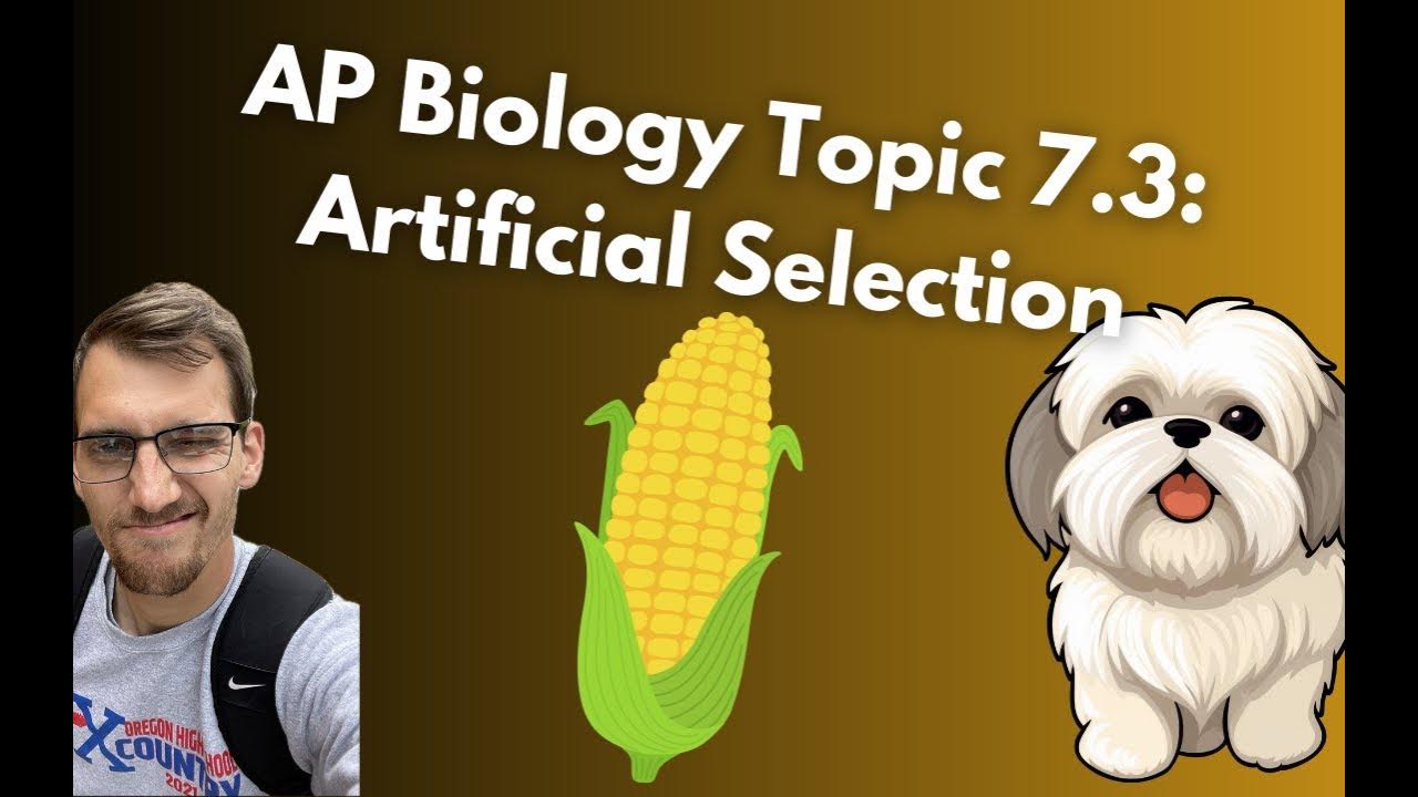 7.3 Artificial Selection - AP Biology - YouTube