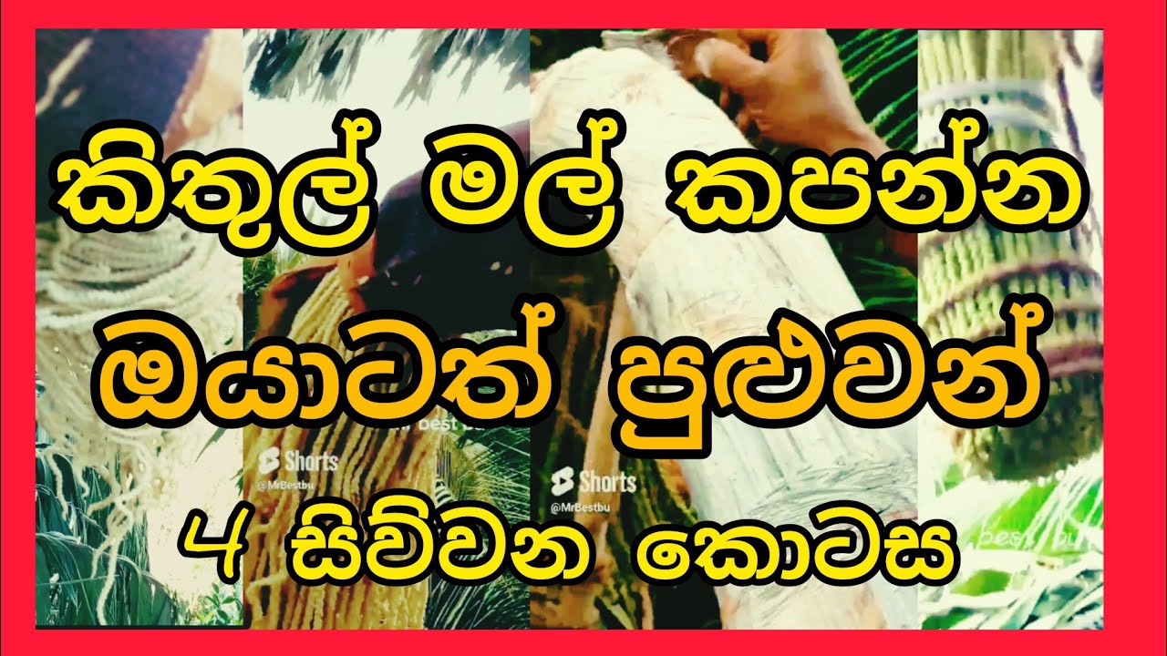 how to make kithul flower/ how to make palm toddy/🌴 kithul mal kepima ...