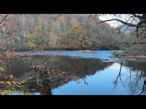 Hartford TN scenery, beautiful mountain views and wildlife in the river ...