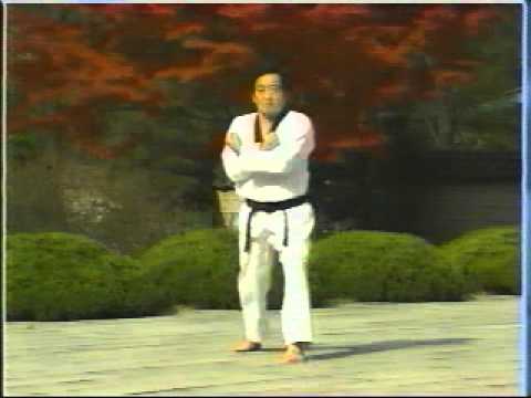 Taekwondo Poomsae Jitae (WTF) (태권도) 지태 - YouTube