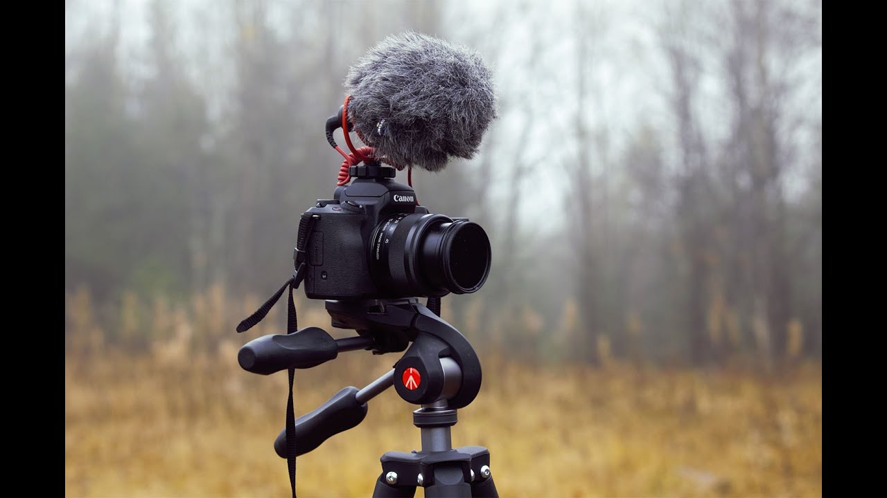 143. Short walk and my cameras (English subtitles) - YouTube