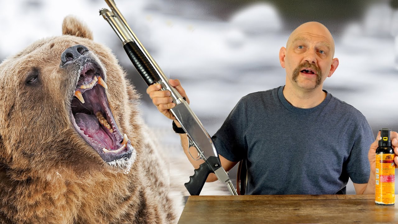 Is Bear Spray Better than a Gun? Here's What 352 Aggressive Bear ...