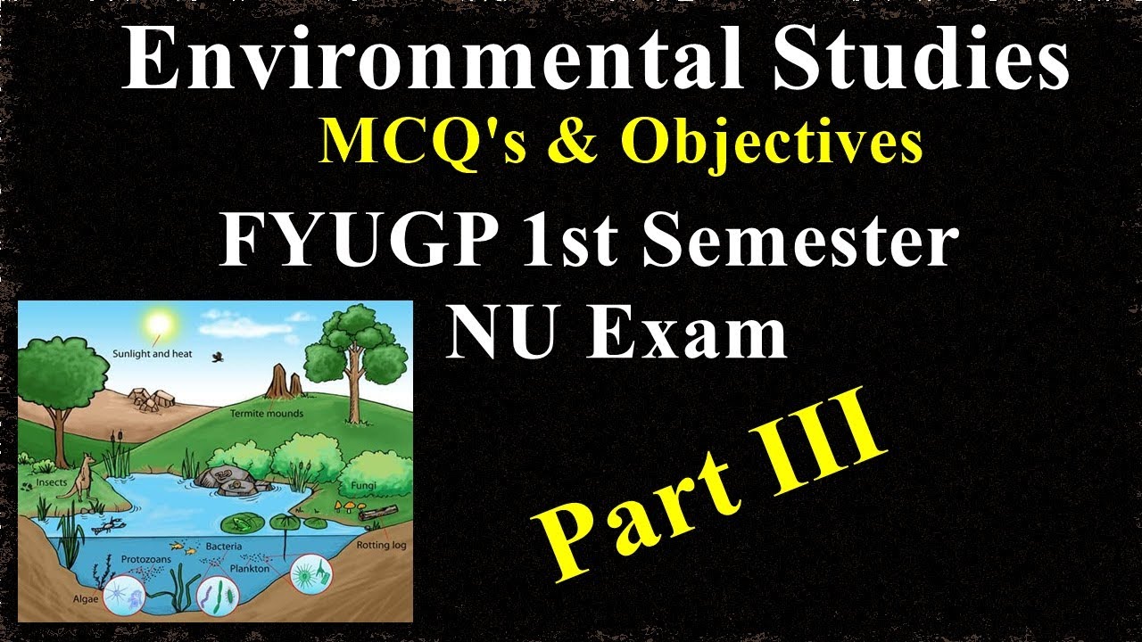 Important Environment Days - YouTube